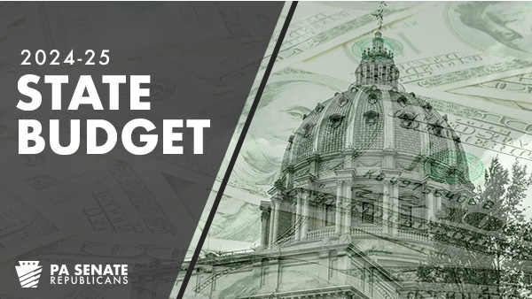 Senate Finalizes Empowering, Fiscally Responsible, Pro-Growth 2024-25 ...